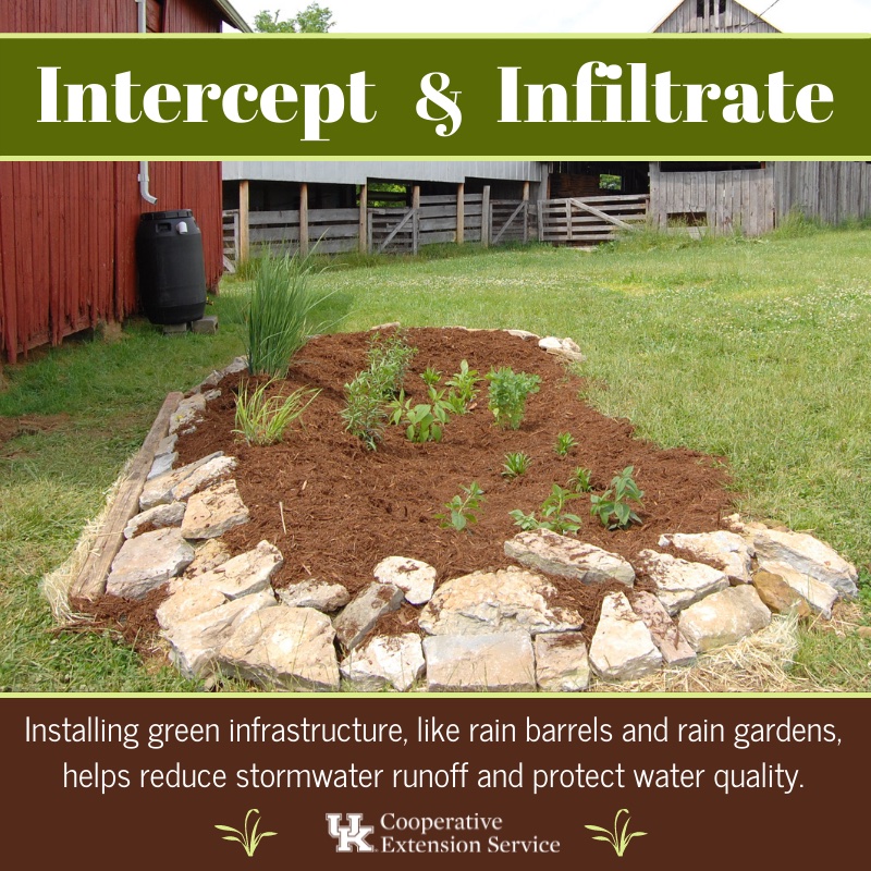 Rain Barrels | Environmental and Natural Resource Issues